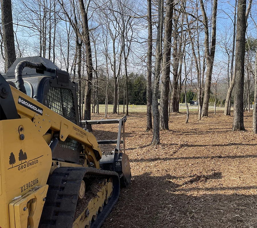 Forestry Mulching 101 - A Complete Guide - Grounded Land Solutions